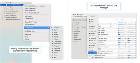 Working With Codes ATLAS Ti 9 Mac Quick Tour