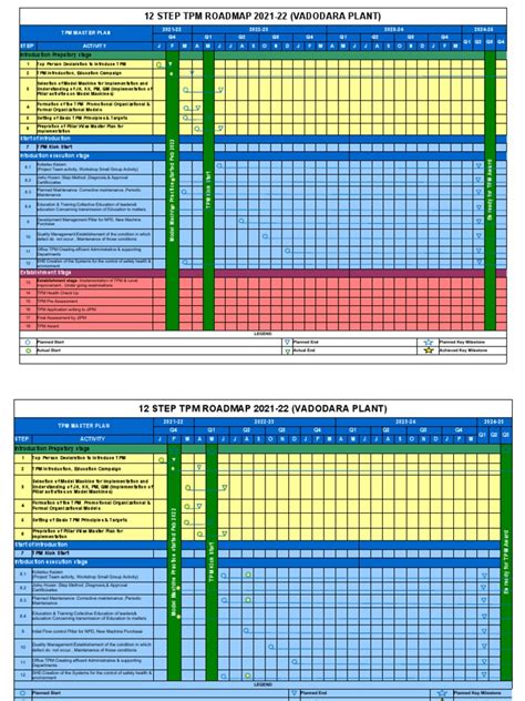 Tpm 12 Steps Roadmap Pdf Business