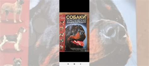 Книги по грумингу и содержанию собак купить в Санкт-Петербурге ...