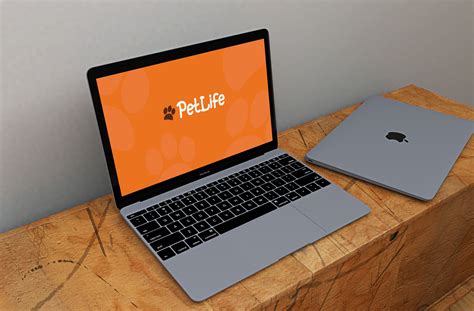 Microcomputadoras La Revolución De La Informática