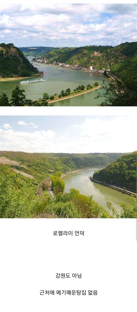 한국인들이 가면 실망한다는 독일관광지짱공유닷컴 명예의 쩐당