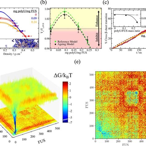 Imbalanced Protein Binding Can Drive Condensate Ageing But Not Droplet Download Scientific