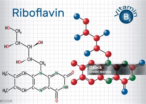 리 보 플 라빈 음식에서 발견 하 고는 규정식 보충 교재로 사용 구조 화학 공식 및 분자 모델입니다 종이 한 장에 0명에 대한 스톡 벡터 아트 및 기타 이미지 Istock