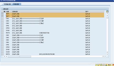 sap link 安装 zsaplink csdn博客