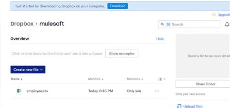 upload files in dropbox using mule 4 dropbox connector