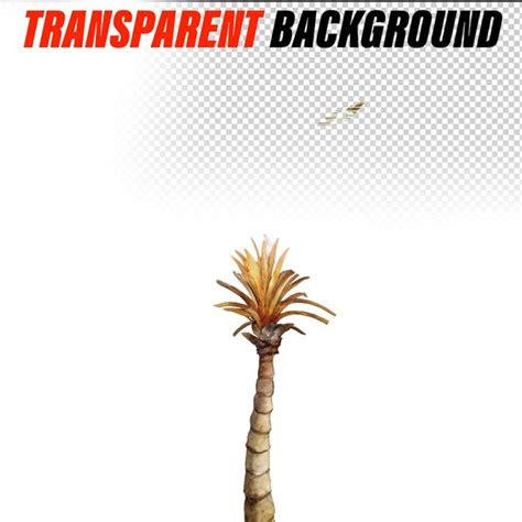 Premium PSD Beautiful Green Coconut Tree Leaf Design