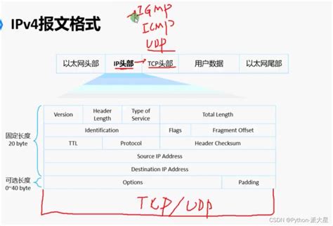 Tcpip协议中分包与重组原理介绍、分片偏移量的计算方法、ipv4报文格式十月月更python 派大星infoq写作社区