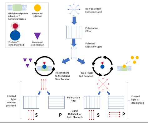 Figure 1 From Multimode Detection Semantic Scholar