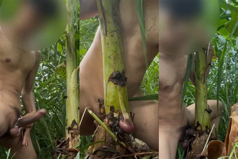 Thai Guy Fuck Banana Tree 2 Gay Asian Asian Porn Feat Jerk Tm XHamster