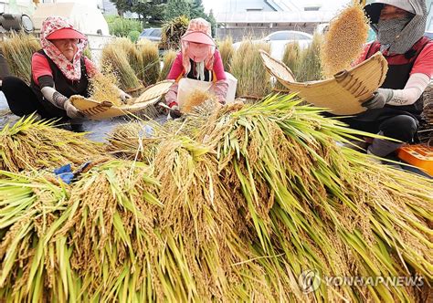 수확의 계절 연합뉴스