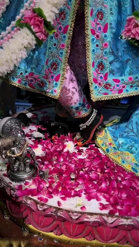 🌼🌼 जय श्री गोपाल नन्द लाल🌼🌼💓💓💓💓💓 Cute Krishna Beautiful Love