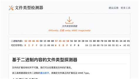 File Type Detector Online File Format Analyzer Developer S Toolbox
