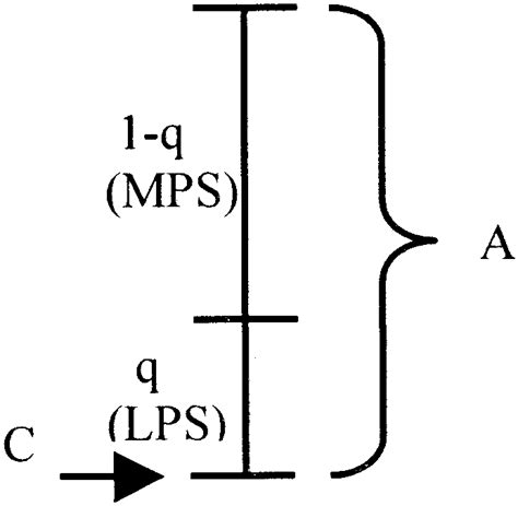 Interpretation Of The Parameters In The Mq Coder Download Scientific