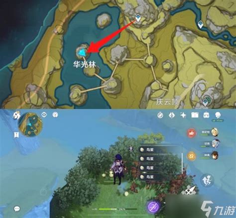 原神2 6百货奇货立本第七天兑换材料收集位置在哪里 原神 九游手机游戏