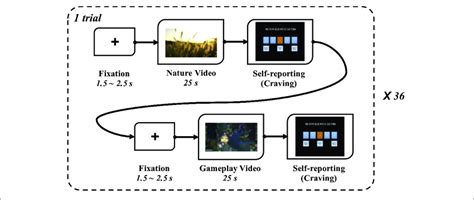 Schematic Representation Of The Experimental Protocol Download