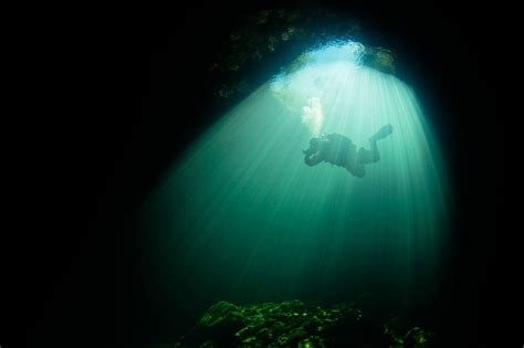 Photo Gallery Mexico S Mysterious Cenotes DER SPIEGEL