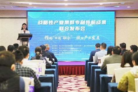 引领高质量发展佛山发布三大战略性产业集群专利导航成果 佛山财经网
