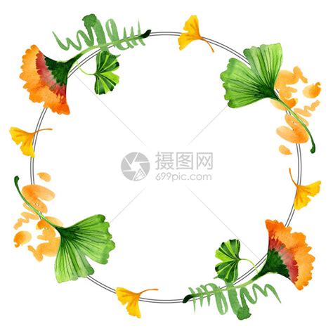 五颜六色的叶子银杏叶植物园花卉叶子框架边框装饰广场背景纹理包装图案框架或边高清图片下载 正版图片507456653 摄图网