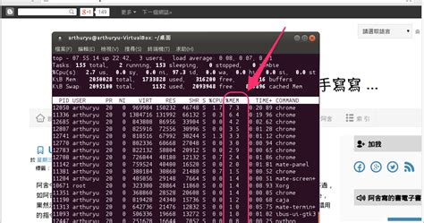 Ubuntu 用 top 指令查吃最多記憶體和 CPU 的程序