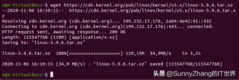 Linux Linux