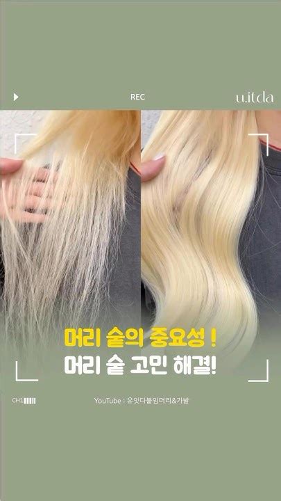 머리숱의 중요성 유잇다에서 고민해결 유잇다붙임머리 숱보강붙임머리 강남붙임머리 광주붙임머리 일산붙임머리 Youtube