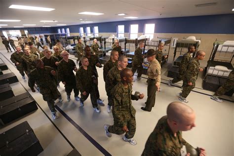 Dvids Images Photo Gallery Parris Island Recruits Survive