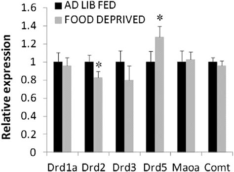 Nucleus Accumbens Dopamine Signaling Related Gene Expression Detected