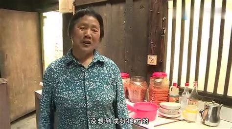 张家界市王家坪镇：映山红火了乡村游旅游旅途风光好看视频