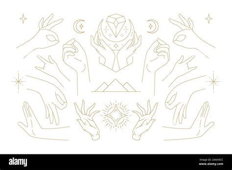 Female Hands Gestures Collection Of Line Art Hand Drawn Style Vector