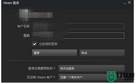 Steam Steam U