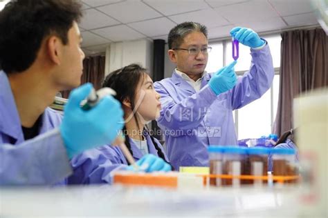 重庆：科学家绘就全球首张家蚕超级泛基因组图谱 人民图片网