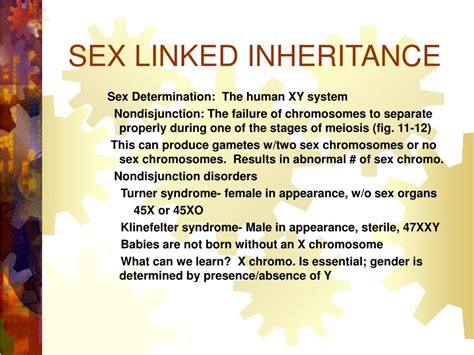 ppt sex linked inheritance powerpoint presentation free download id 605313