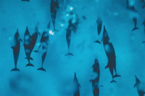 Andrew Wise On Linkedin How To Migrate From Mariadb To Mysql Heatwave