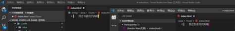 工具系列 VScode VS Live Share 实时编码分享和你的小伙伴一起写代码吧 Tinywan 博客园