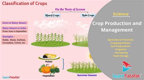 Crop Production And Management Ppt Class 8