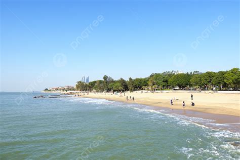 여름 모래사장 해변 사진 여름 바닷가 해안 배경 일러스트 및 사진 무료 다운로드 Pngtree