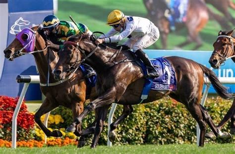 香港最強馬ゴールデンシックスティ、今季の最優秀マイラー選出が決定的に Jra Van World 海外競馬情報サイト