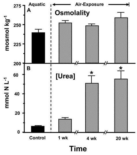 Differences In Plasma Osmolality A And Urea Concentrations