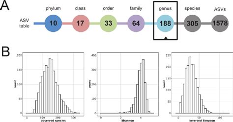 Microbiome Characteristics Characteristics Of The Stool Microbiome Download Scientific Diagram
