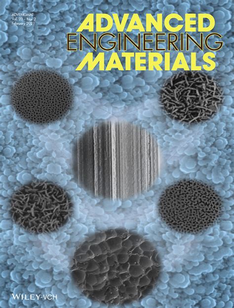Influence Of The Polymer Interphase Structure On The Interaction
