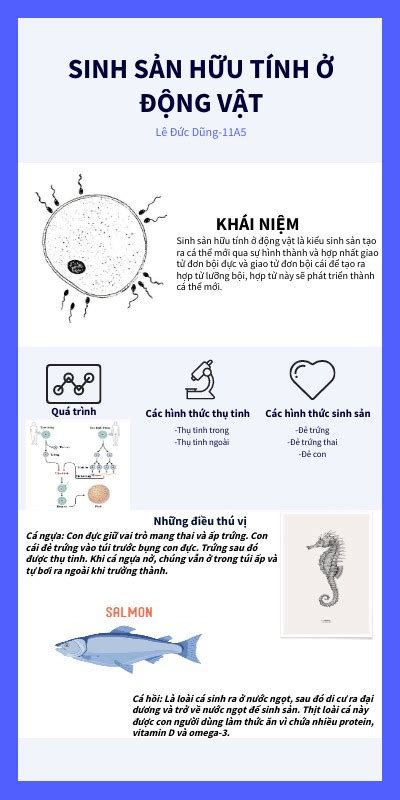 BASIC INFOGRAPHIC