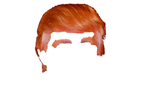 Donald Trump Hair Png Ryan And Debi And Toren