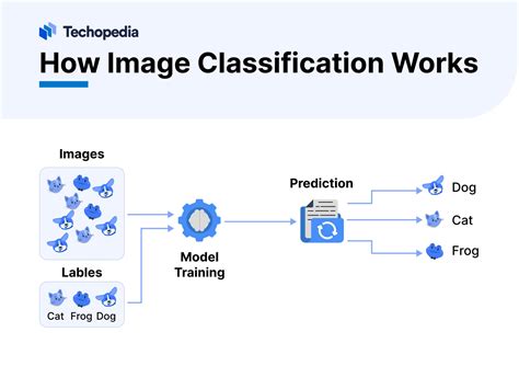 What Is Image Classification Definition Techniques And Uses Techopedia