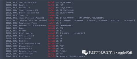 【基】医学ct图像 ‘dcm‘图像读取处理窗位窗宽修改保存python 医学图像窗位窗宽 Csdn博客