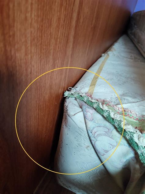 혐ㅈㅅ 금천구 빈대베드버그 모텔 추가 설명 보배드림 자유게시판