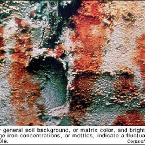 The Reduction And Oxidation Sequence In Soil Solutions At Ph 7