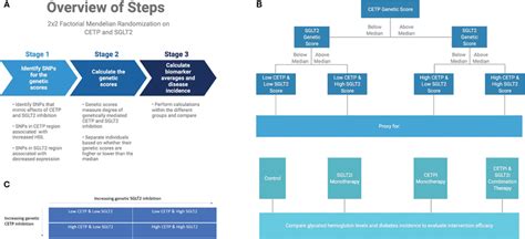 Of Methods Overview A Overview Of Computational Workflow For The 2x2