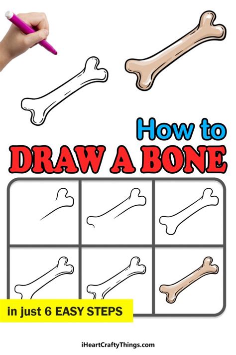 Bone Drawing How To Draw A Bone Step By Step
