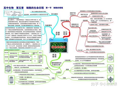 最全高中生物思维导图（45张高清大图）扫清高中三年知识点！知识串联｜高效复习｜考试提分｜可下载打印 知乎