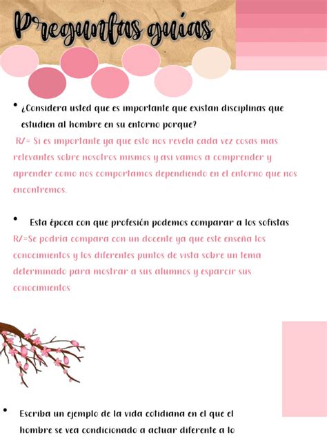 Preguntas Guia Pdf